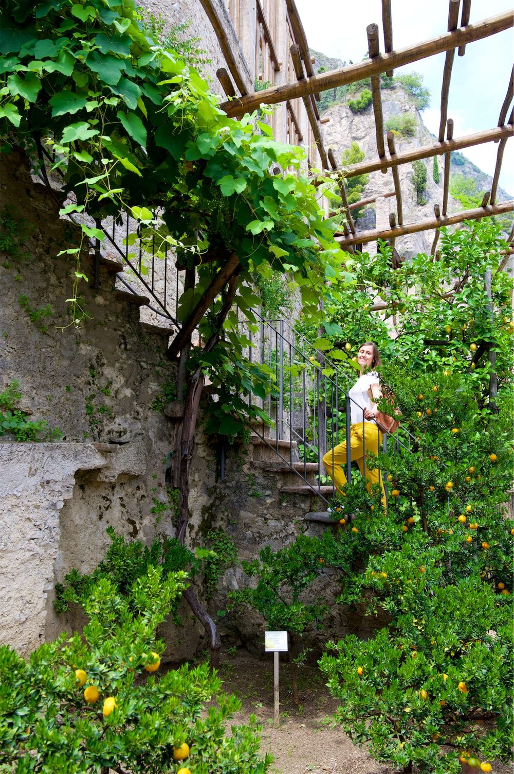Limone sul Garda: tra il blu del lago e il giallo degli agrumi