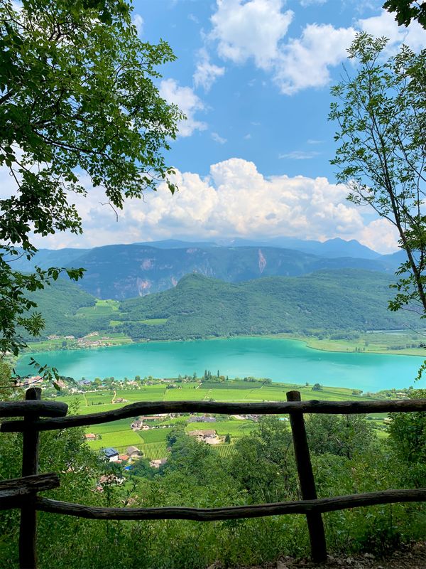 Caldaro: tra vigne e sentieri nella natura